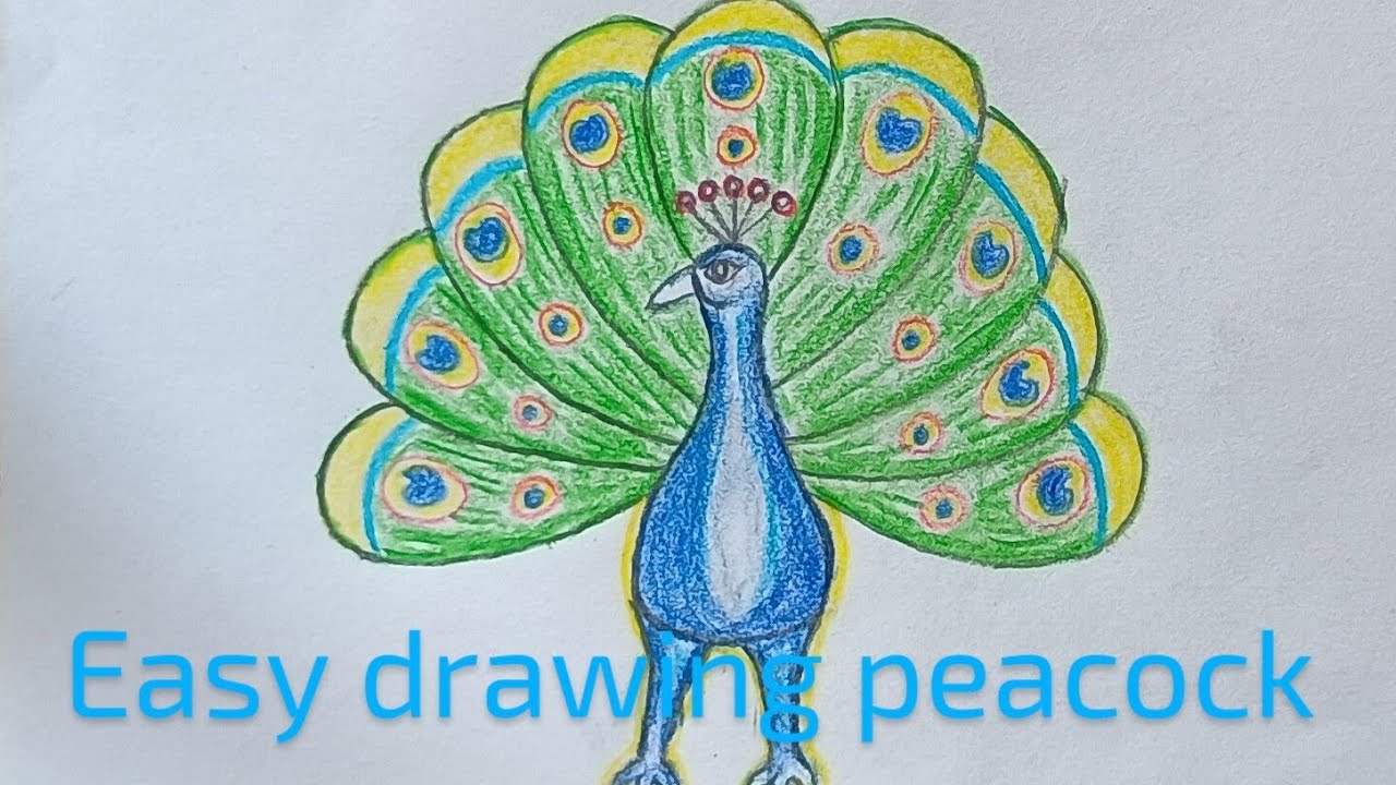 How to draw a peacock with colour pencil | easy drawing step by step ...