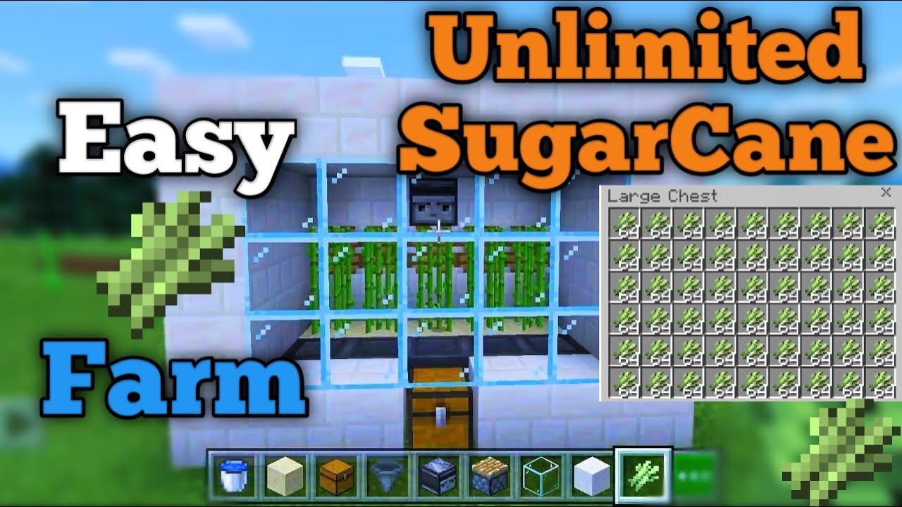 Best Automatic Sugar Cane Farm In Minecraft Bedrock Edition YouTube best-automatic-sugar-cane-farm-in-minecraft-bedrock-edition-youtube