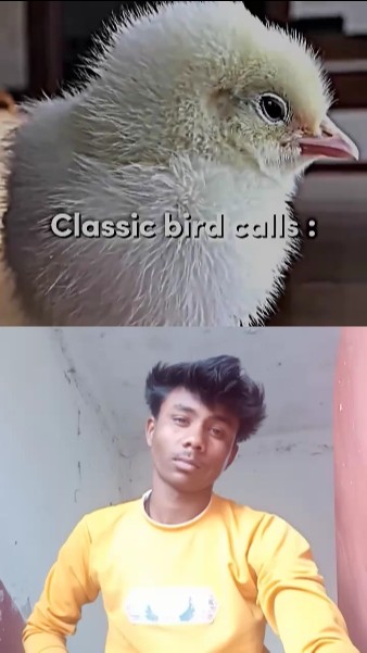 Extraordinary Bird calls #birds #chicken #edit #epicedits #bird - YouTube