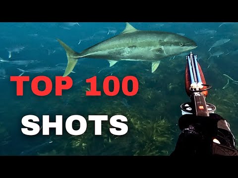 Top 100 Spearfishing Shots | Ultimate Underwater 