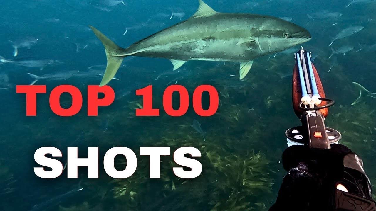 100 Best Spearfishing Shots You Won't Believe | Ultimate Underwater ...