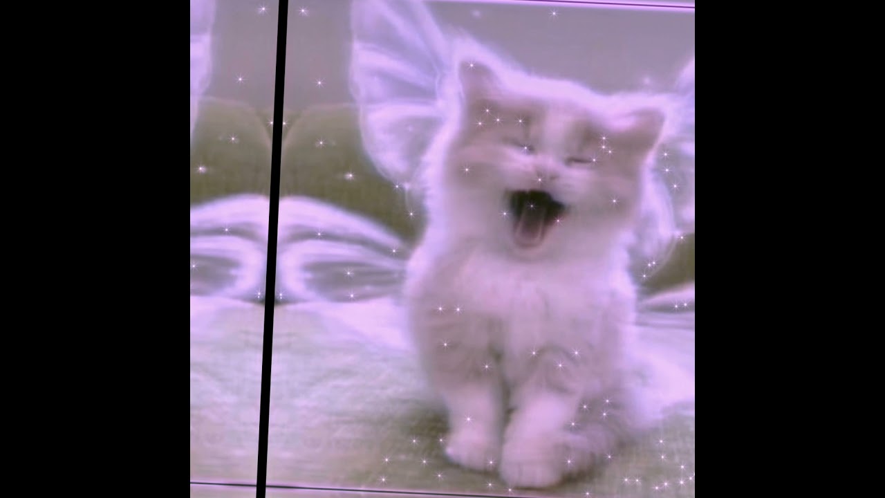 random edit of my new pfp on whatsapp lol - YouTube