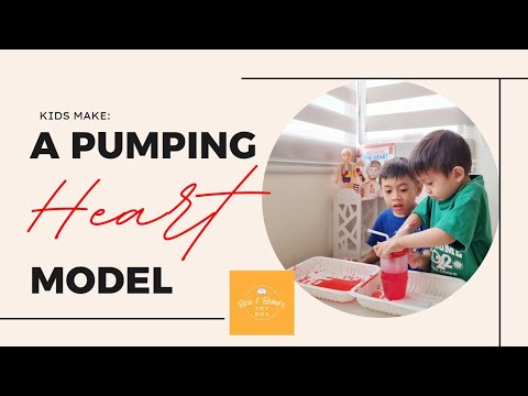 Kids Make: A Pumping Heart Model - YouTube