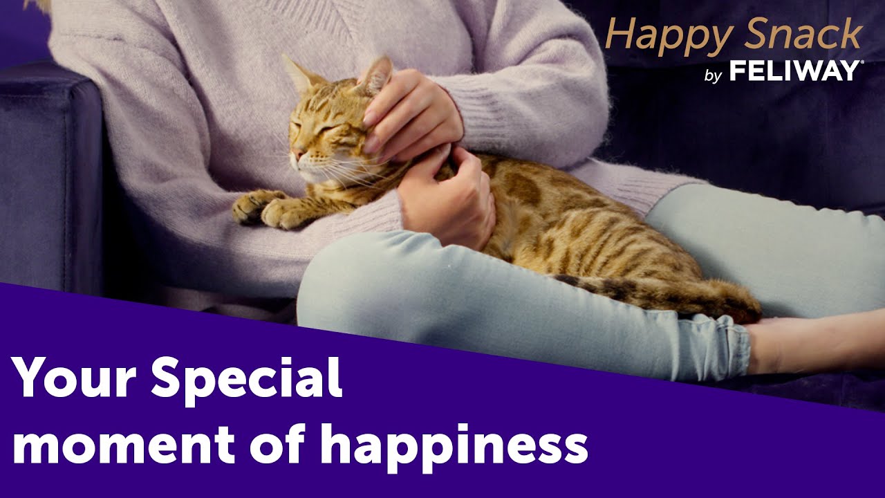 Support your bond with your cat: Happy Snack by FELIWAY - YouTube