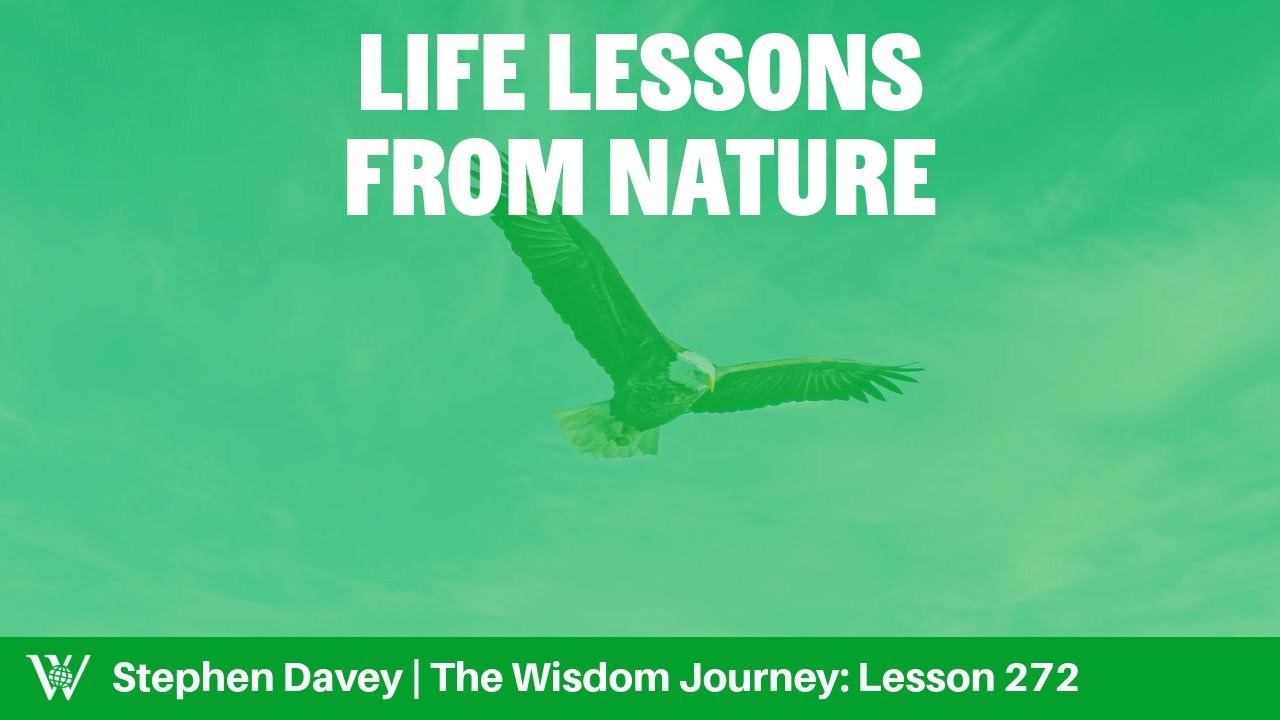 Lesson 272: Words of Wisdom from Creation (Proverbs 30) - YouTube