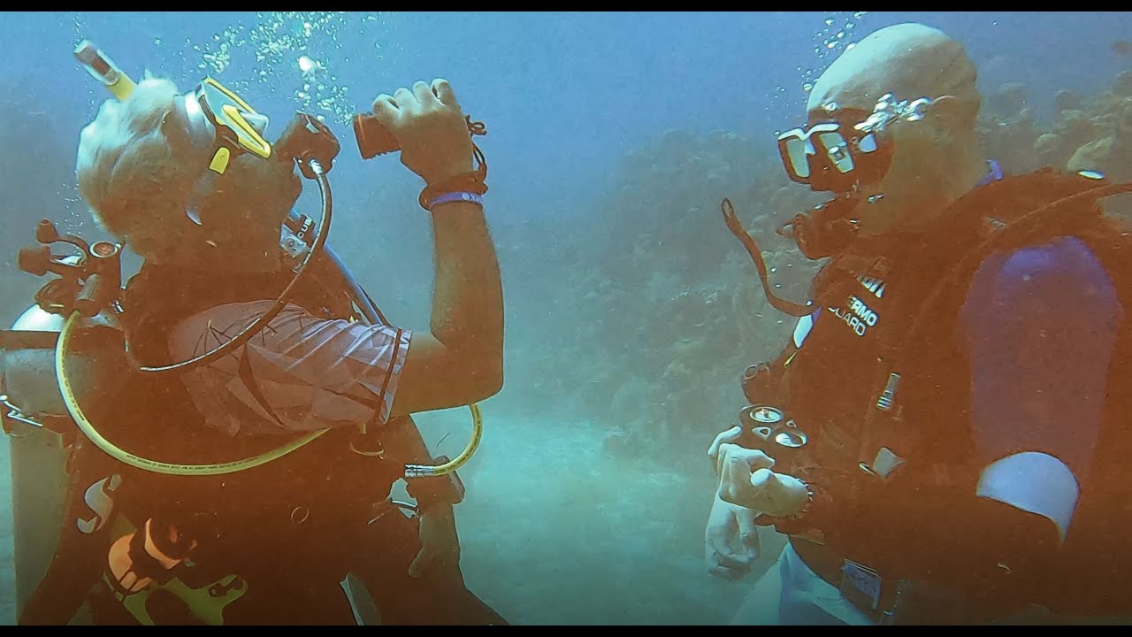 Music Video: Underwater Rock Band - YouTube