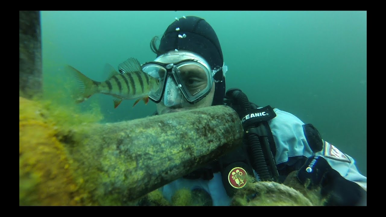 Vobster Dive - 25th August 2017 - YouTube