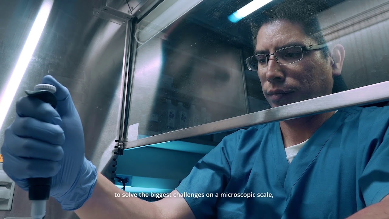 ZyMot Fertility Waiting Room - YouTube