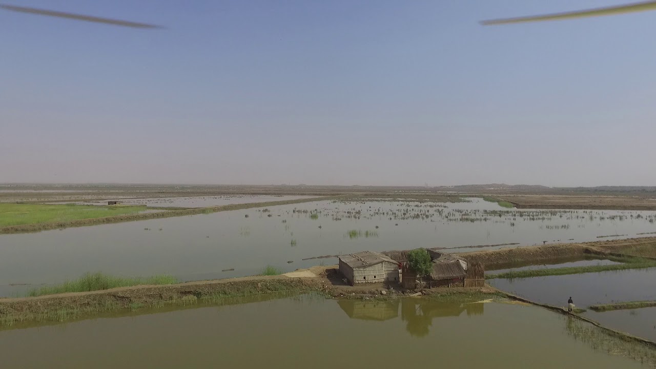 (Location 14) Fish farm Near Gharo City Raw Video Footage 1 - YouTube