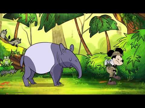 Mickey Go Local | Animated Shorts | Episode 7: Tapir - YouTube