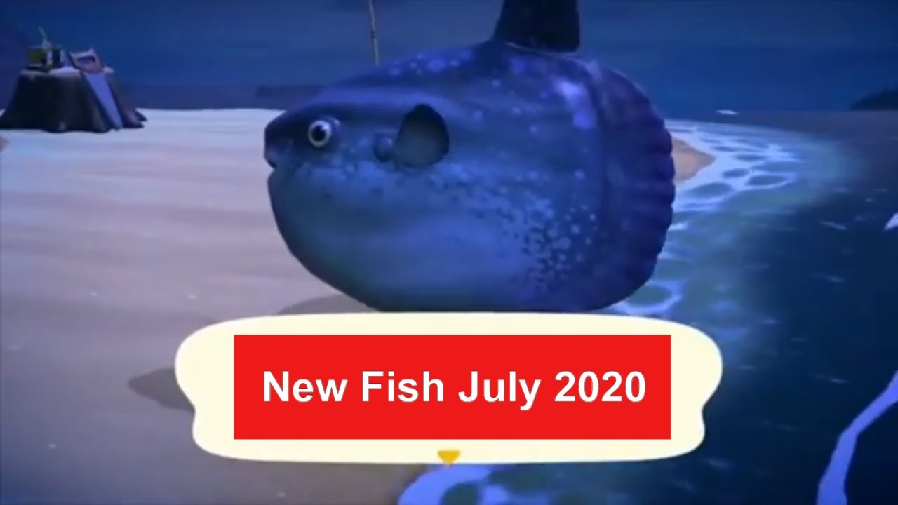 ALL New July Fish and Bugs in Animal Crossing New Horizons! - YouTube
