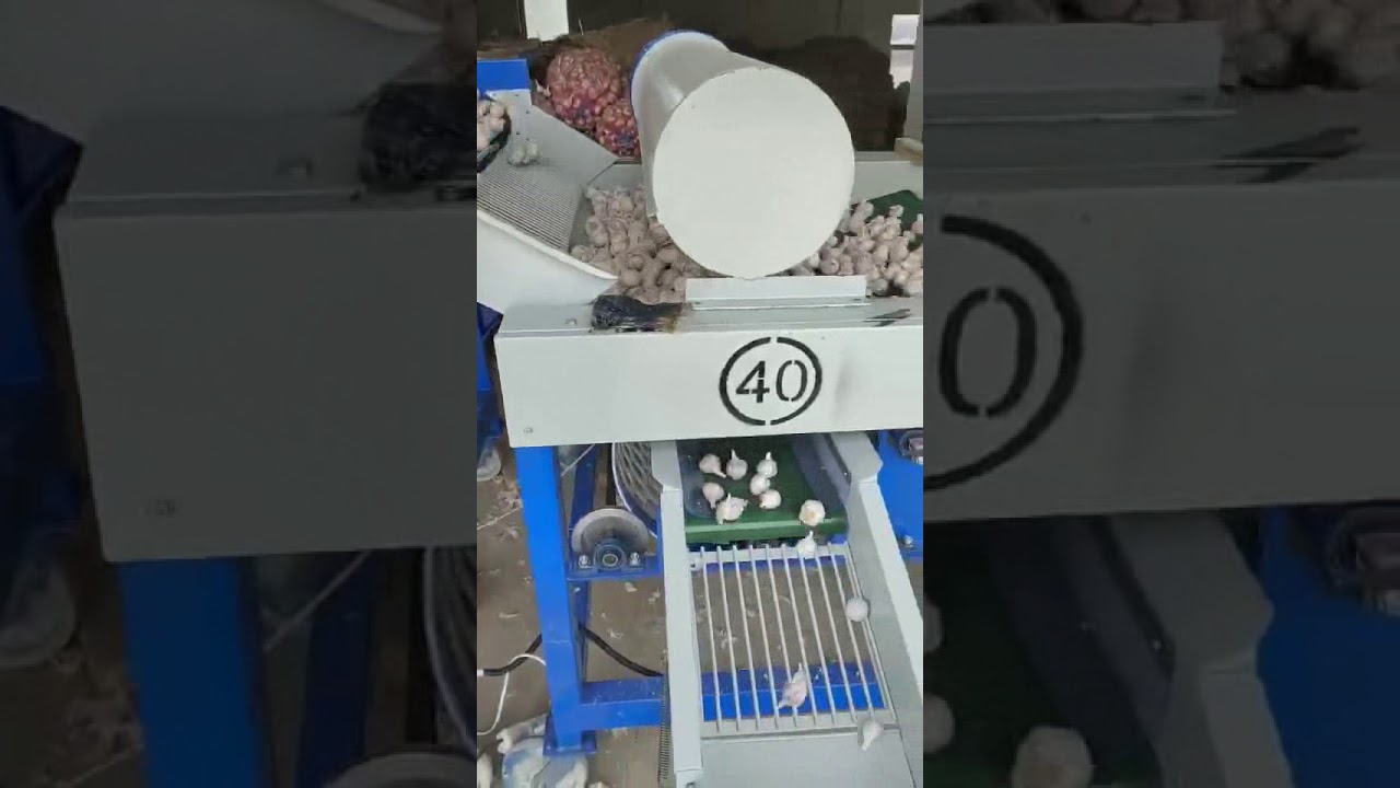 garlic sorting machine,garlic grading machine,garlic sorter,garlic ...