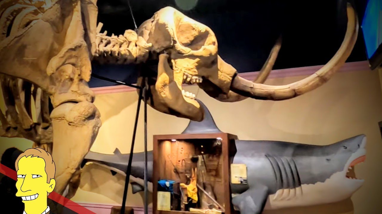 RIPLEY'S MUSEUM TIMES SQUARE - YouTube