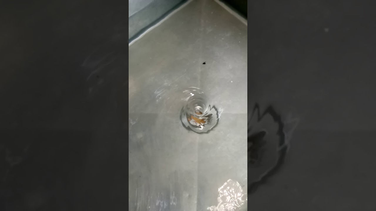 Fred The Fly's Perilous Ending - YouTube