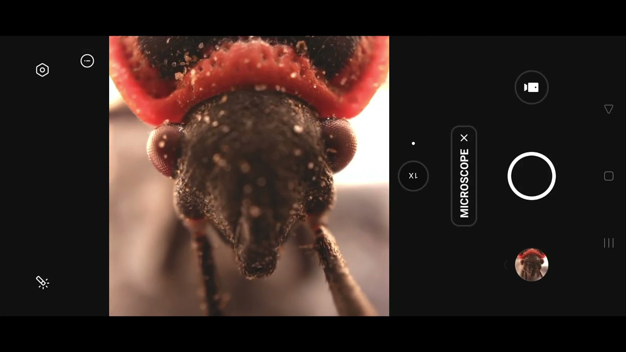 @oppomobileindia FIND X3 PRO microscope camera - YouTube