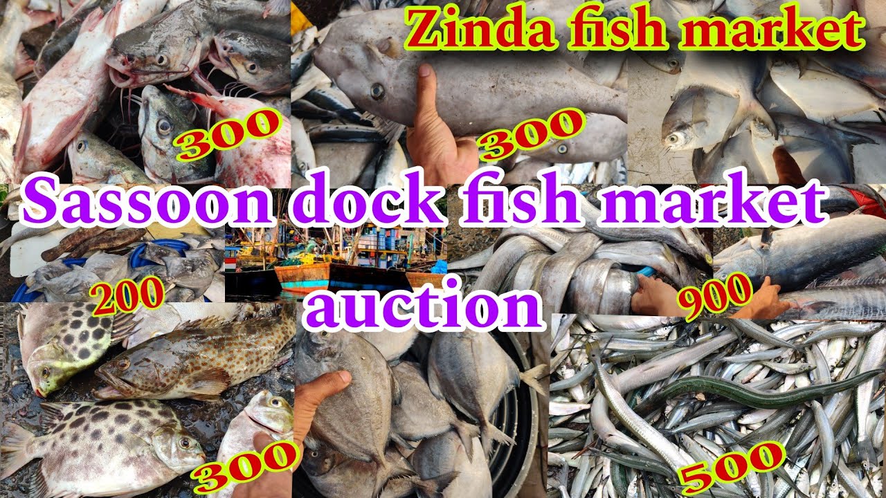 Sassoon dock fish market auction | Sassoon Dock Fish Market | Zinda ...