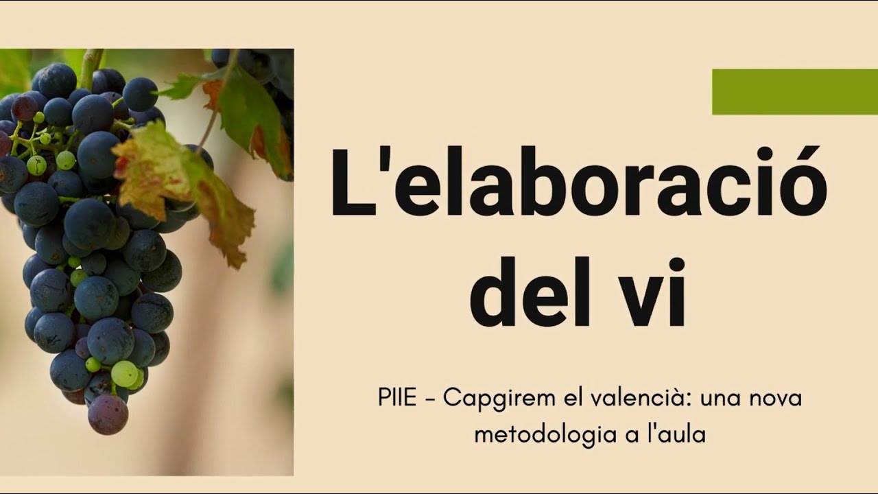 Elaboració del vi - YouTube