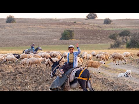 Sivas'ı Keşfet Ulaş Belgeseli