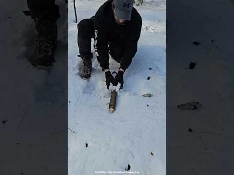 Fire from Ice? The Ancient Survival Secret! #facts #ytshorts #trending