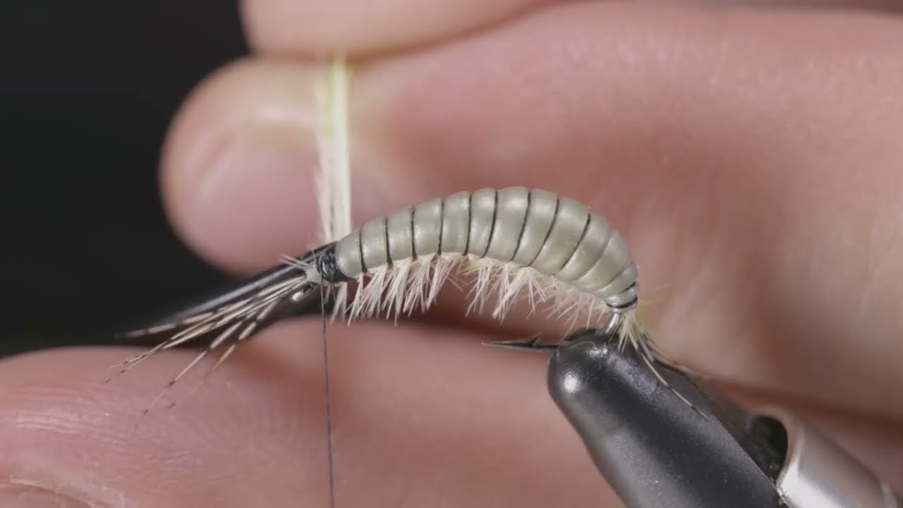 Fly Tying a Grey Gammarus - YouTube