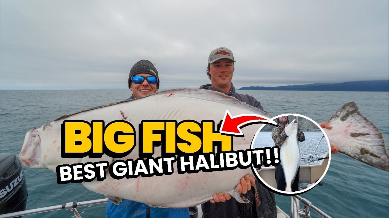 Halibut Fishing Alaska - BIG FISH - BEST GIANT HALIBUT!! - YouTube