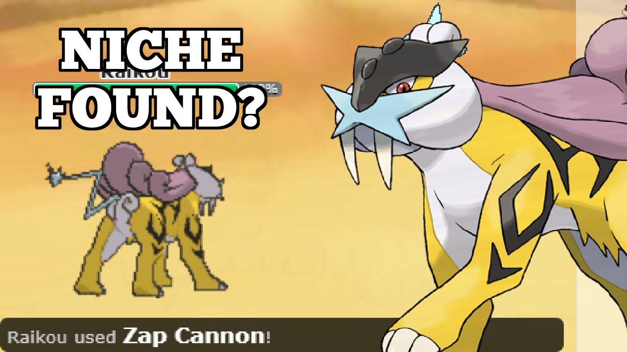I gave Raikou NO GUARD ZAP CANNON... is it good? - YouTube
