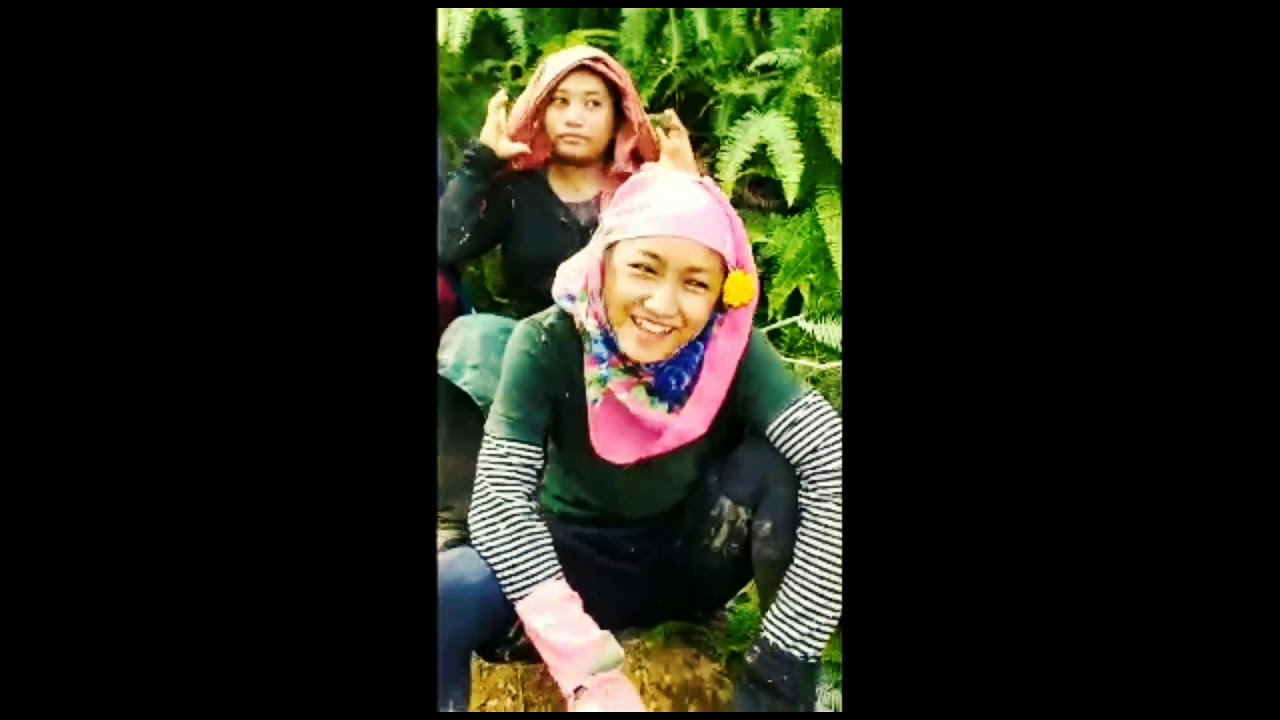 MARING PADDY FIELD THRESING|| MARING TRIBE - YouTube