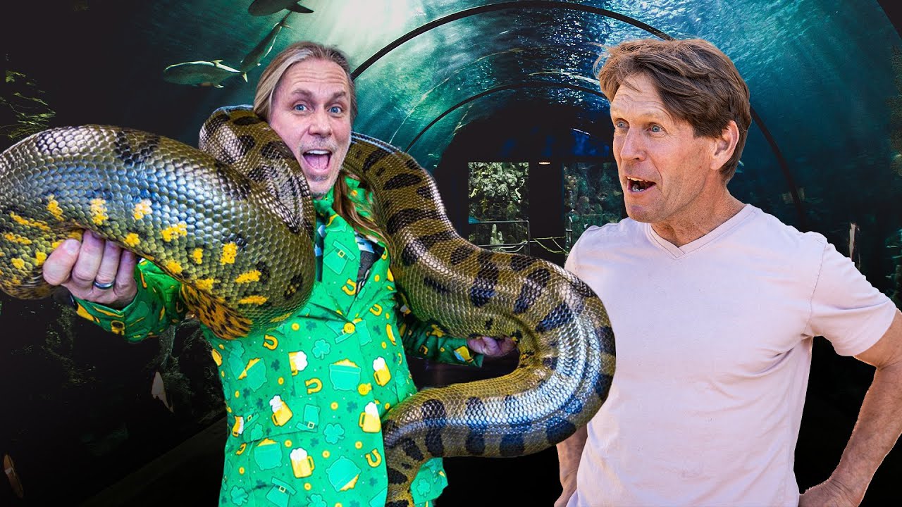 Sneak peek of Brian's NEW aquarium! - YouTube