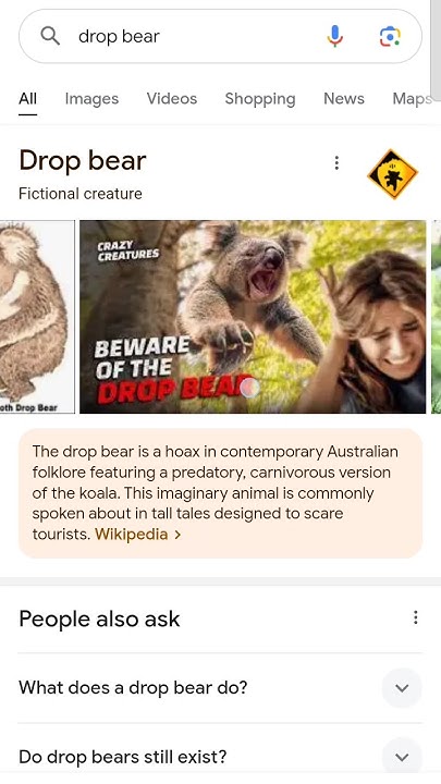 BEWARE OF DROP BEAR 🐻🐨//drop bear edit //#dropbear #edit #memes #xd #trendingshorts #fypシ゚ ...