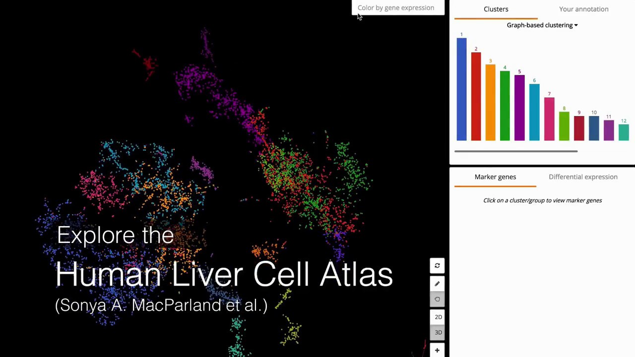Explore the Liver Cell Atlas (S. MacParland et.al., 2018) with ...