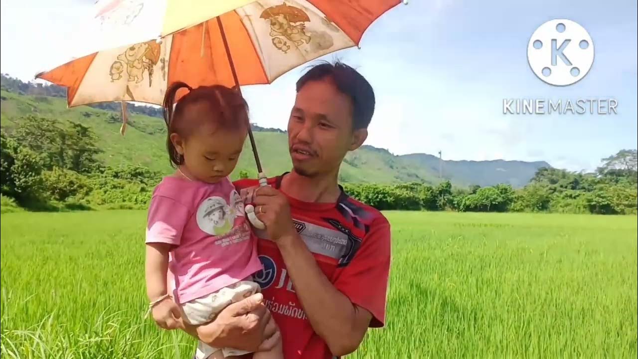 hnub no mus saib liaj nawb - YouTube