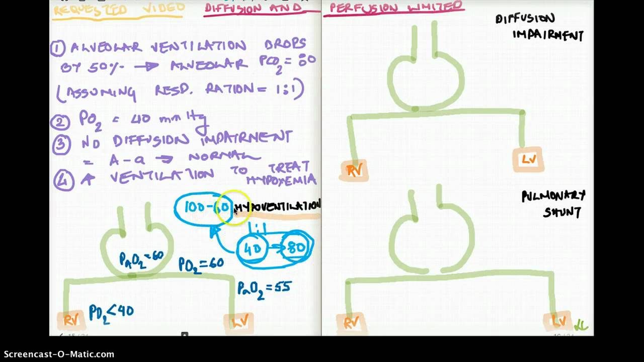 Diffusion and Perfusion Limited Graph Part 2 - YouTube