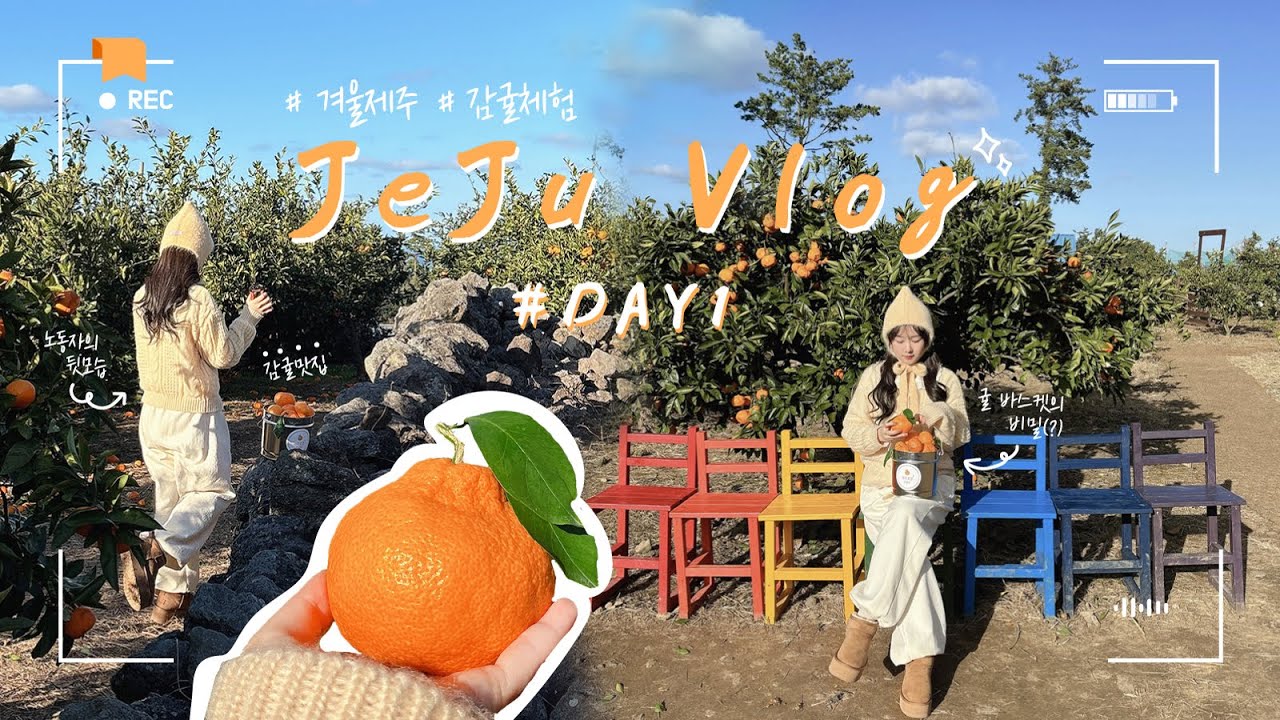 [CC] A fun tangerine experience on Jeju Island, Korea’s beautiful ...