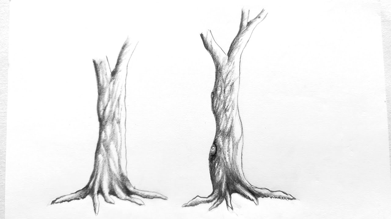 Tree Trunk Drawing for Beginners II Tree shading II Easy Tree Drawing ...