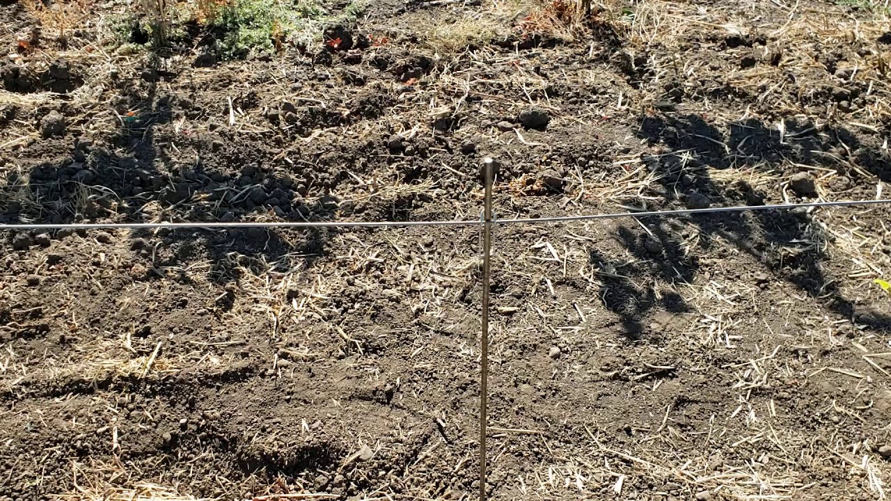 How to install a Pencil Rod Clip in the vineyard. - YouTube