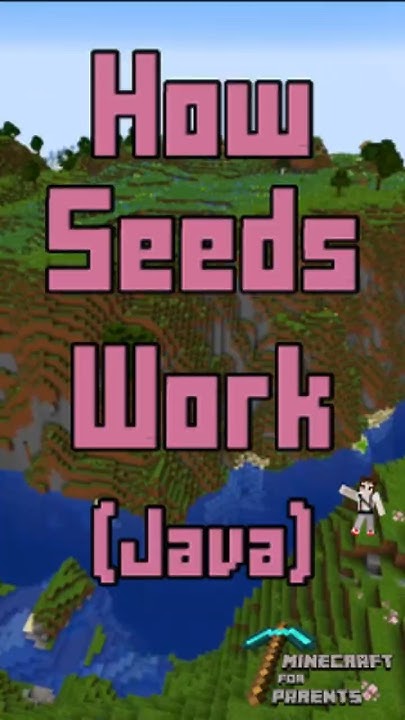 MINECRAFT SEEDS EXPLAINED (Java Edition) — Parent’s Guide to World ...