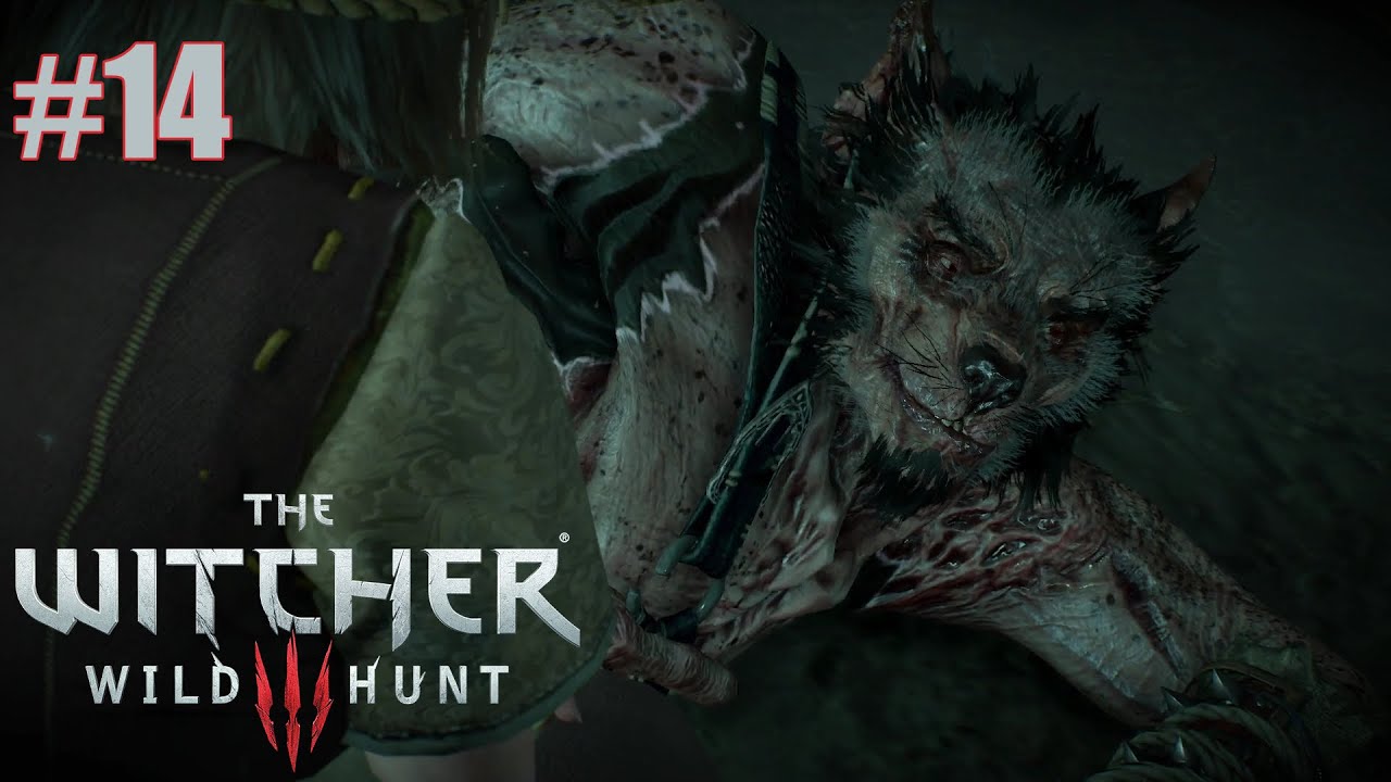 The Witcher 3 Wild Hunt - Die Suche nach dem Werwolf. [14] / Let's Play ...