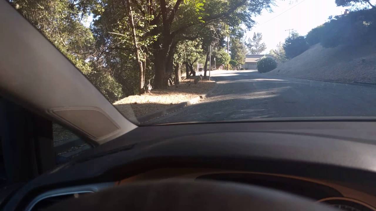 Turkey round up - YouTube