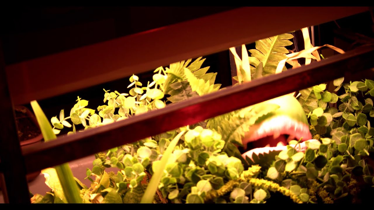 Audrey 2 Arm Puppet Demonstration - YouTube