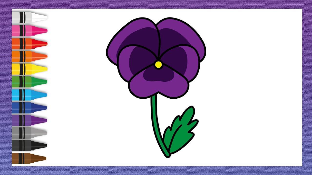 How to Draw a Pansy | Flower Drawings - YouTube