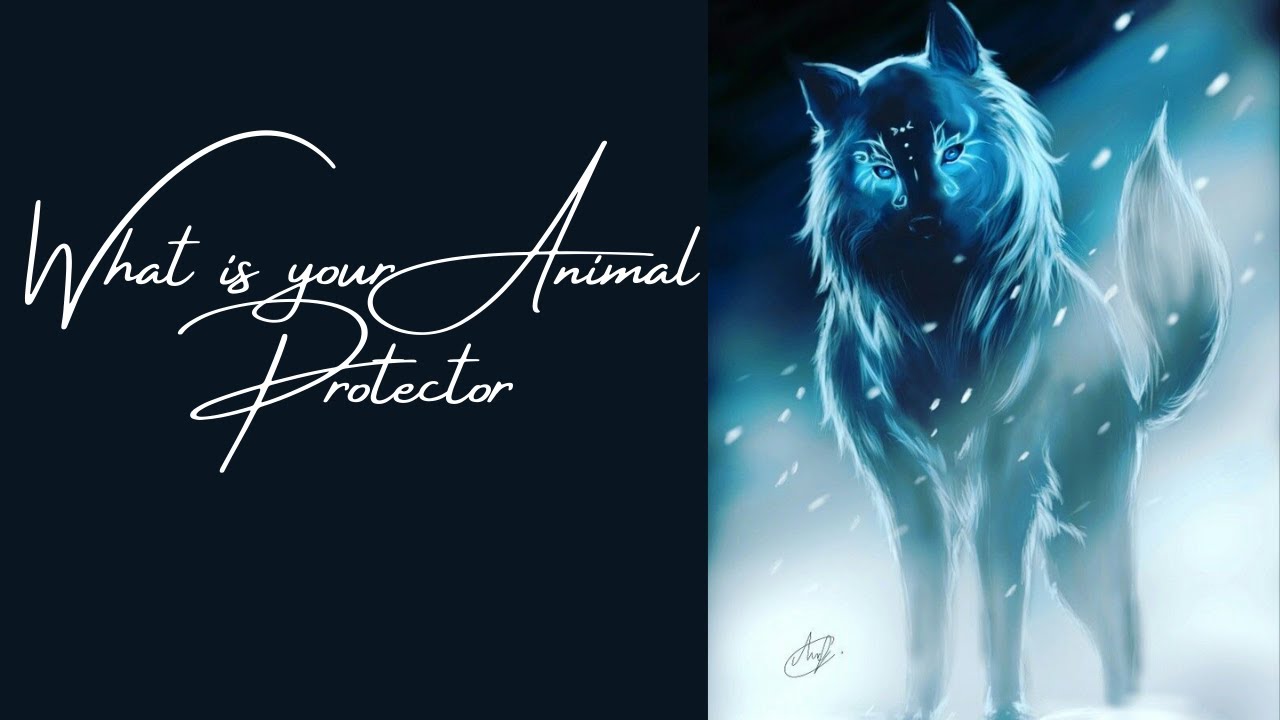 What is your Animal Protector! - YouTube