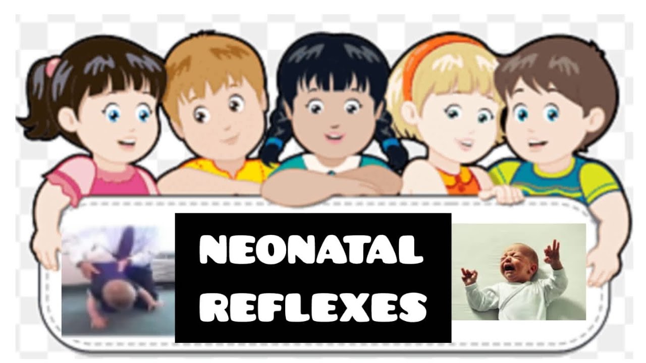Paediatric: NEONATAL REFLEXES #paediatric #lecture - YouTube