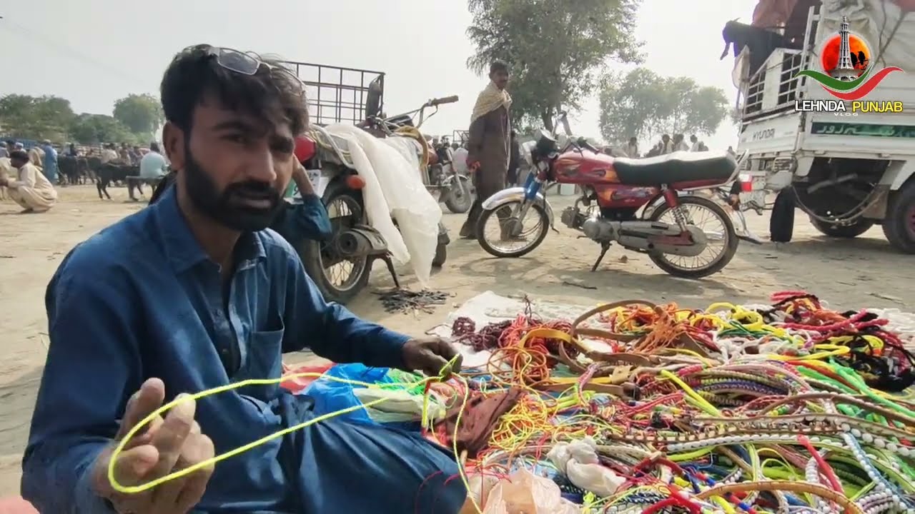 Biggest Cattle Mandi Of Punjab | Ex PM BeNazir Bhutto Liked Neeli Bar ...
