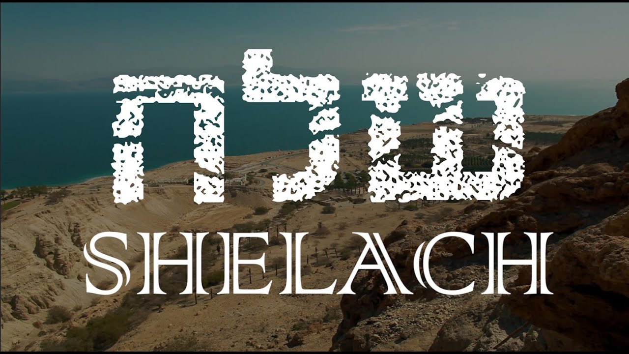 Shelach - our connection with the land of Israel: Weekly Insights with ...