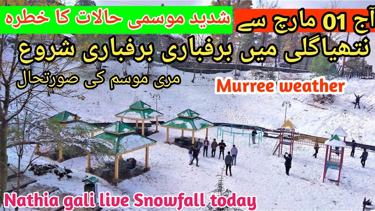 pakistan weather update |Nathia gali live Snowfall | Murree live today ...