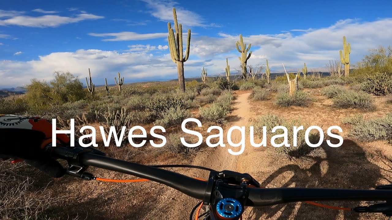 Riding Among 200 Year Old Saguaros In The Hawes Trail System - YouTube