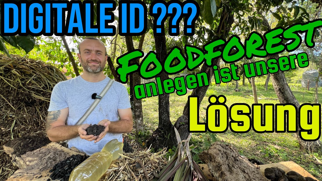 Digitale ID oder gibt es andere Lösungen, Auswandern Paraguay, Terra ...