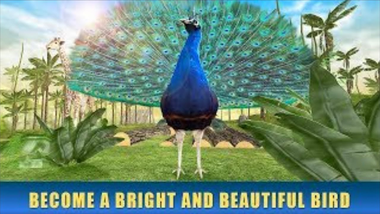 🦚Peacock Family Simulator 3D - Game For Bird Lovers - YouTube