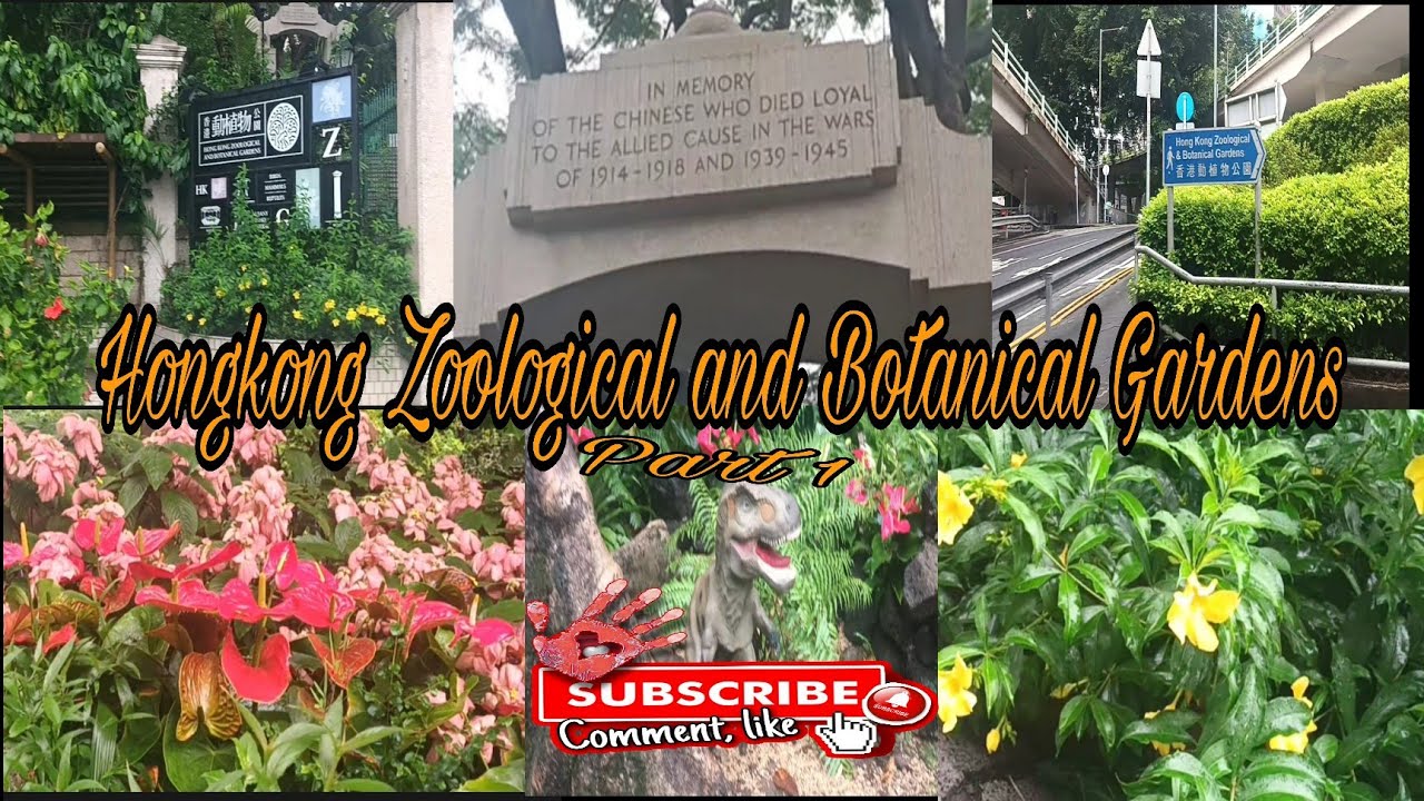 Ang Pamamasyal Namin sa Hongkong Zoological Botanical Gardens Part 1 # ...