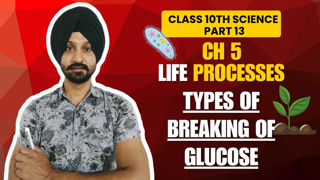 Class 10 Life Processes | Types of Breakdown of Glucose | #CBSE #PSEB # ...